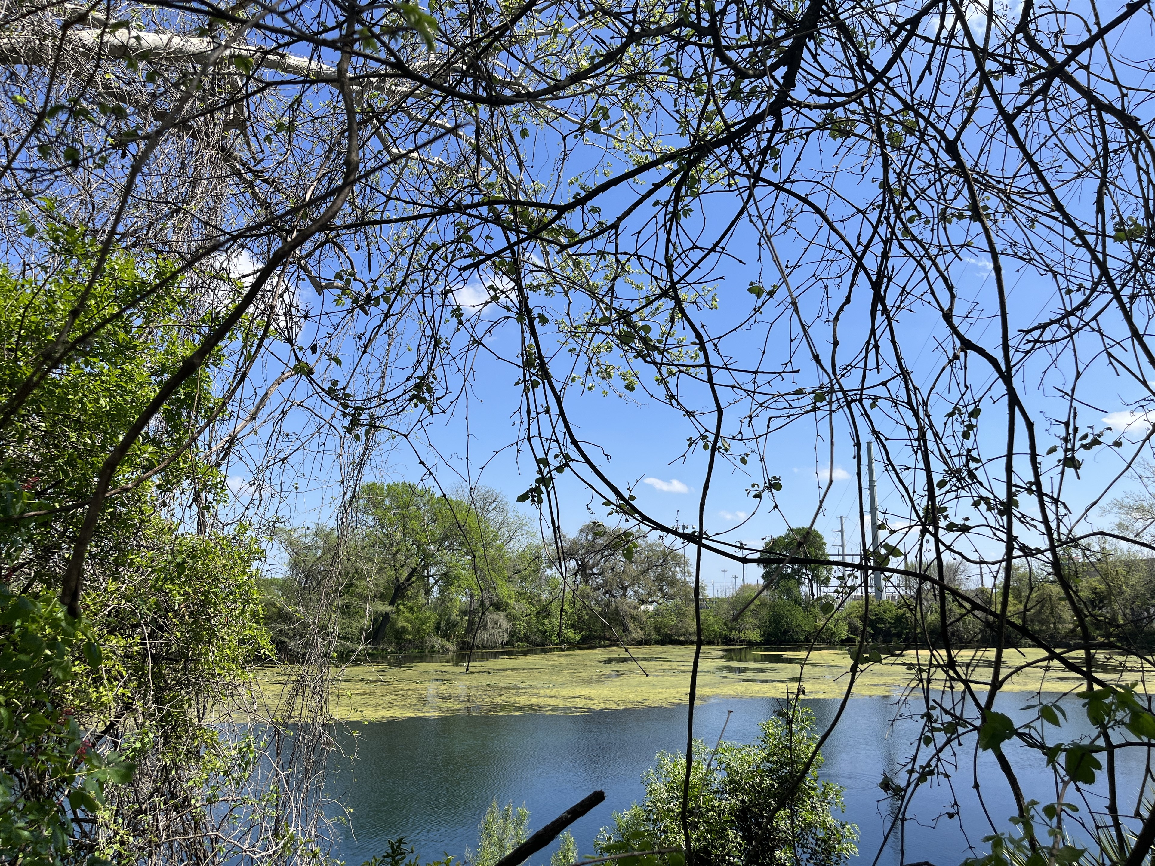 Locations Hub - The Meadows Center for Water and the Environment
