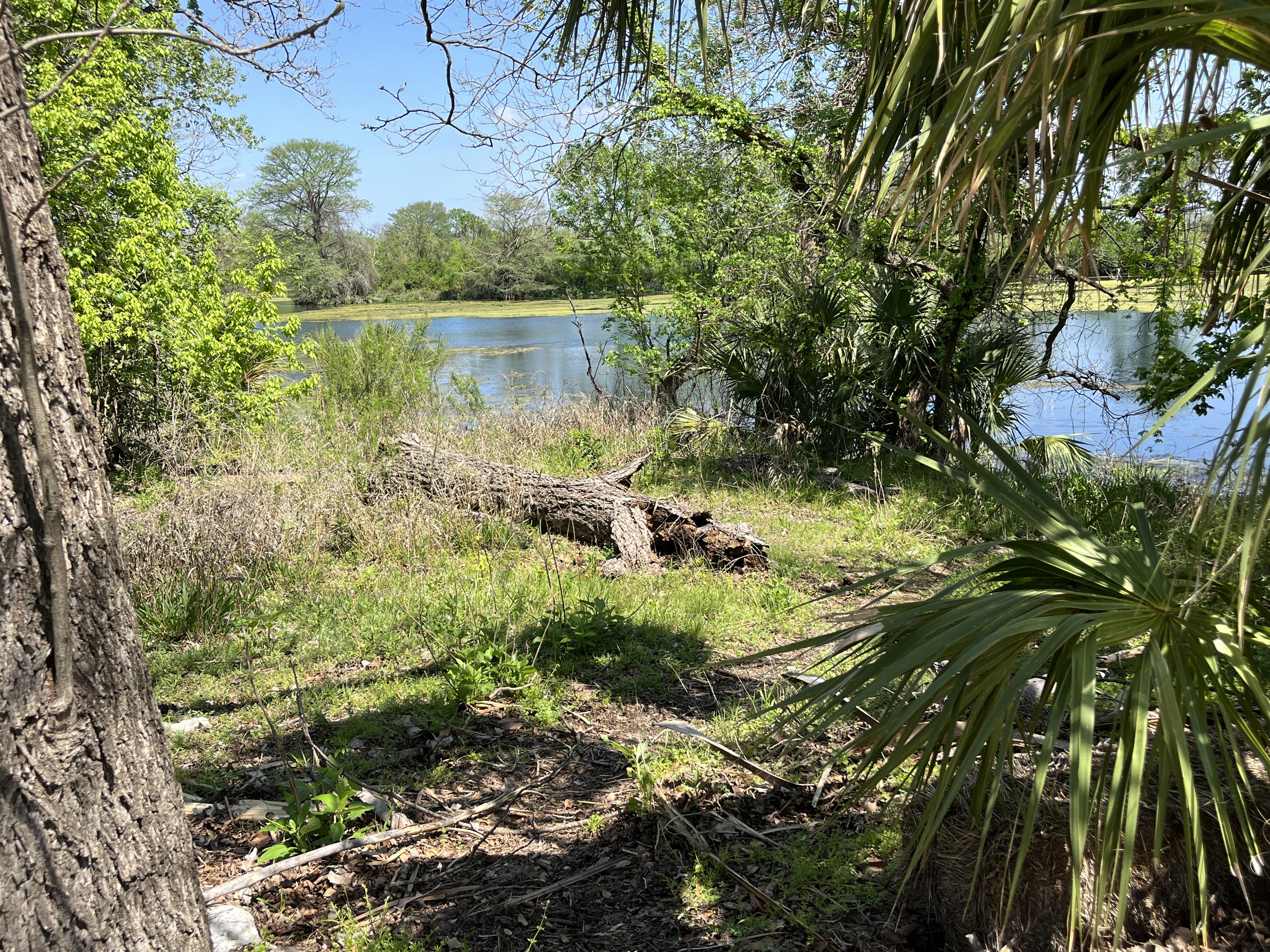 Locations Hub - The Meadows Center for Water and the Environment